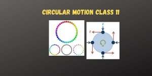 Definition of Circular motion - Types, Example and Formula