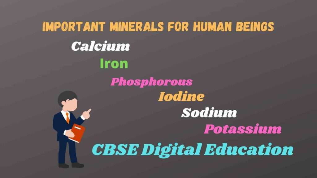 7 Essential Nutrition in human beings and their function