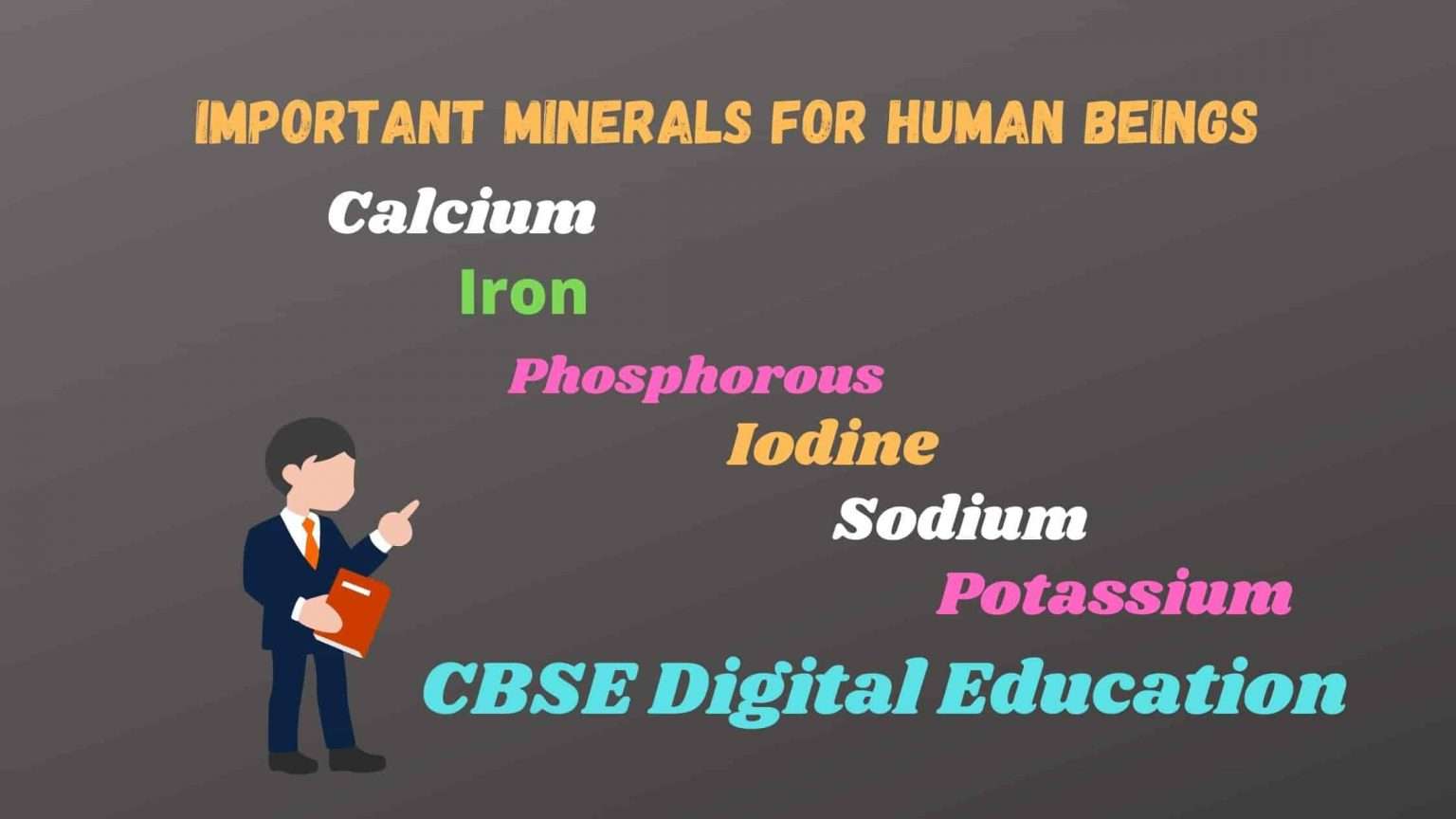 7 Essential Nutrition in human beings and their function