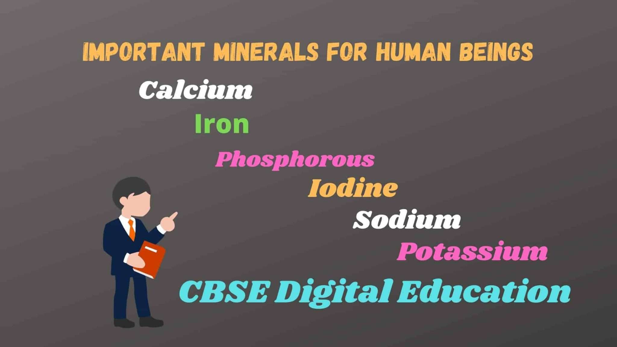 7 Essential Nutrition in human beings and their function