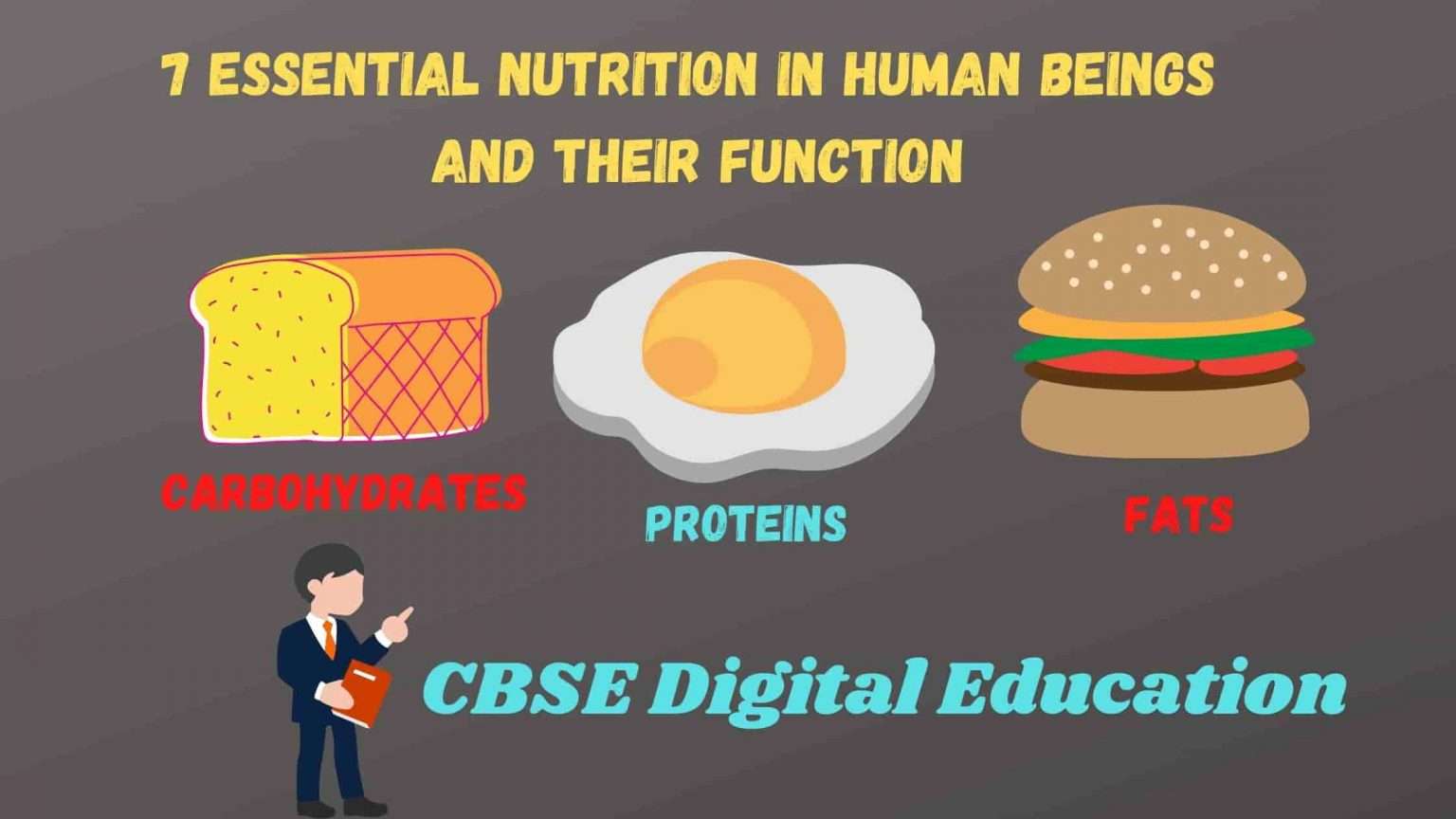 7 Essential Nutrition in human beings and their function