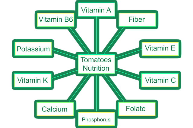 7 Essential Nutrition in human beings and their function